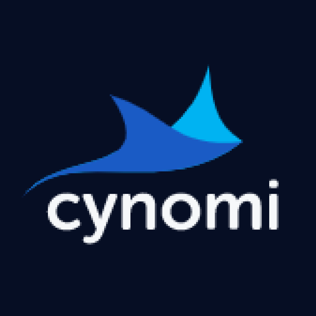 Cyber Resilience Analysis - InfoSystems Cyber, Inc.